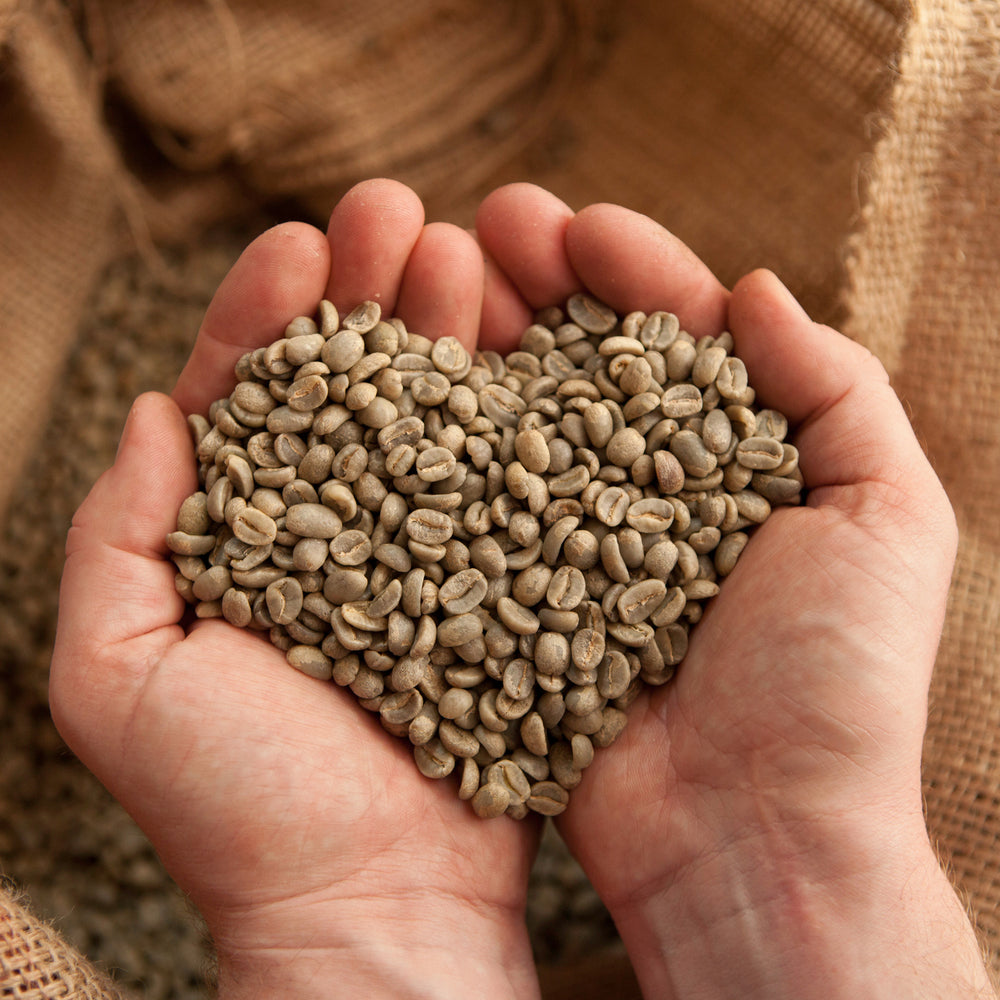 Fresh Beans, Malaysia Coffee & Chocolate Online Store | Bean Shipper